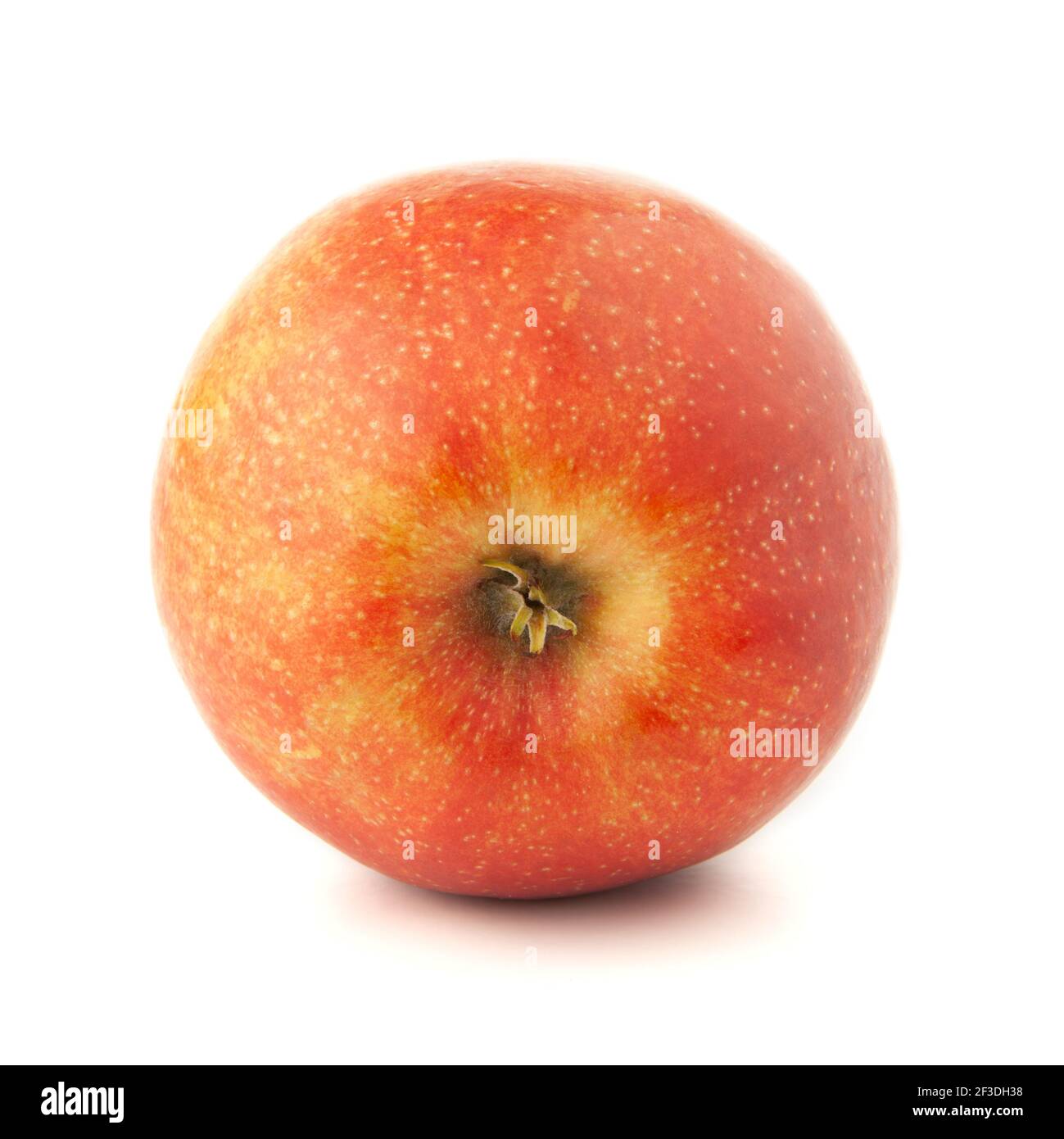 Red apple on a white background with a shadow Stock Photo - Alamy