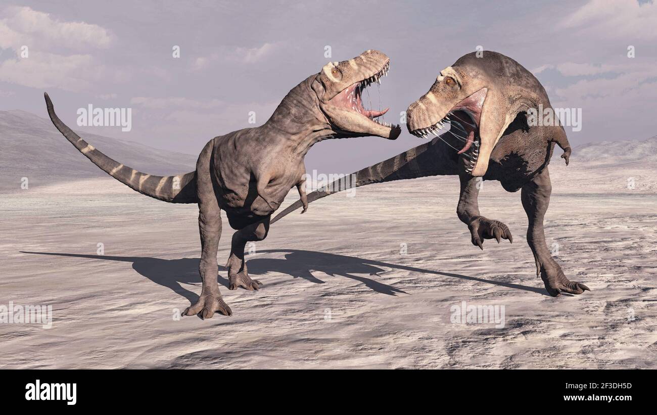 Theropod desert hi-res stock photography and images - Alamy