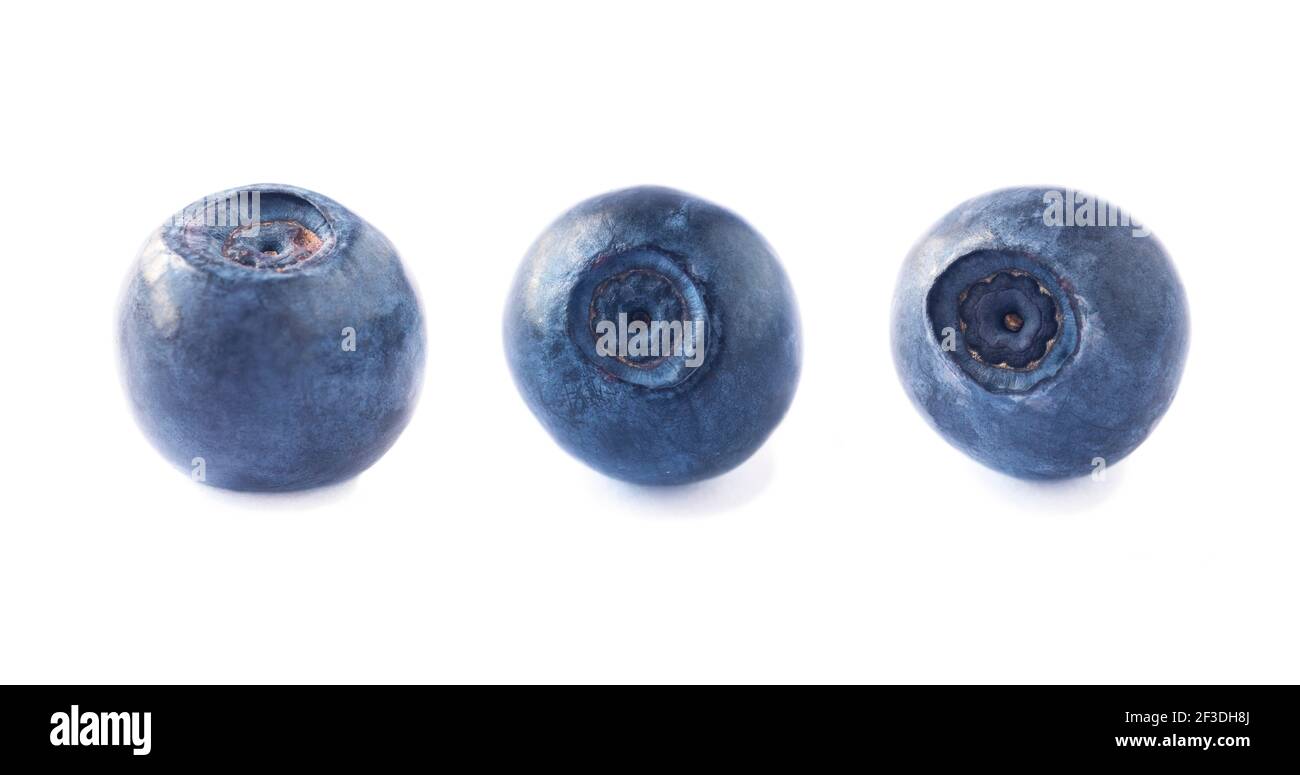 Bilberries isolated. Fresh raw berries isolated on white background ...
