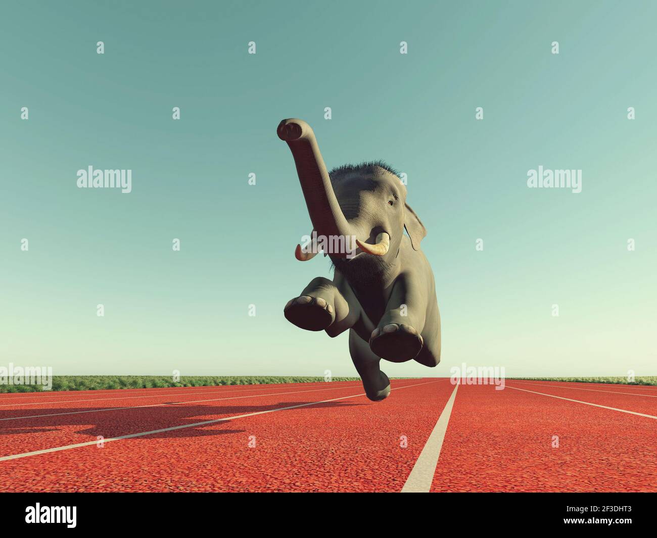 Elephant Jump High Resolution Stock Photography and Images - Alamy