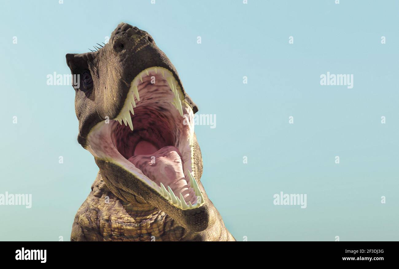 Bite force tyrannosaurus hi-res stock photography and images - Alamy