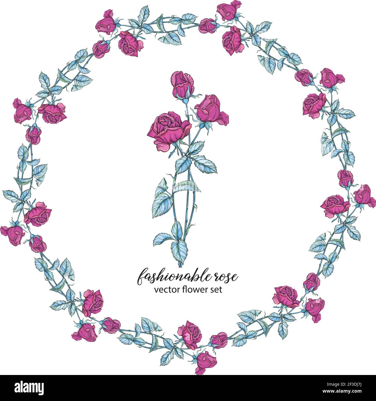 Blooming rose vector vectors hi-res stock photography and images - Alamy