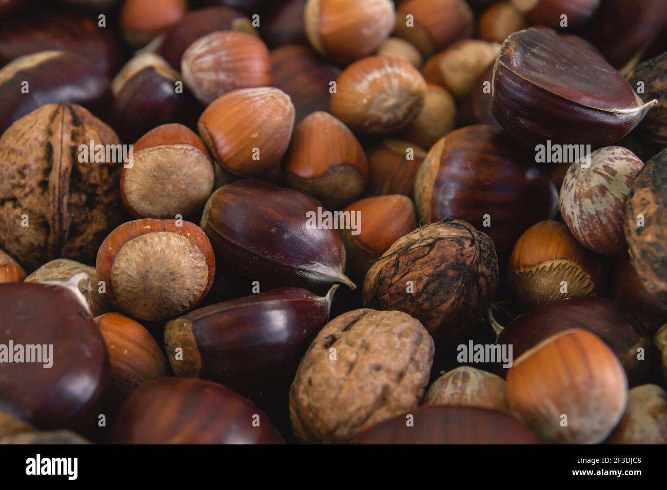 Real Nuts High Resolution Stock Photography and Images - Alamy
