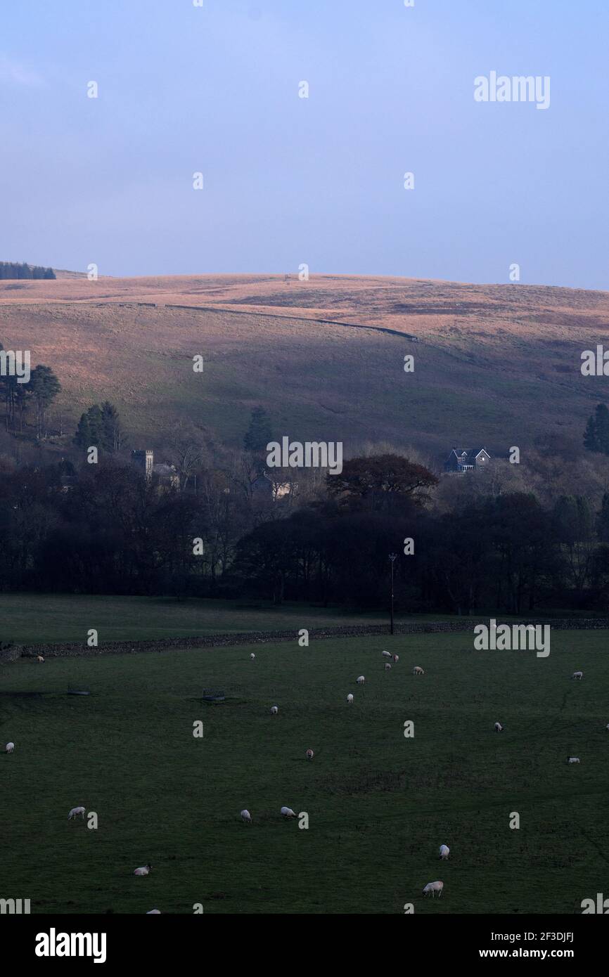 Falstone Village High Resolution Stock Photography and Images - Alamy