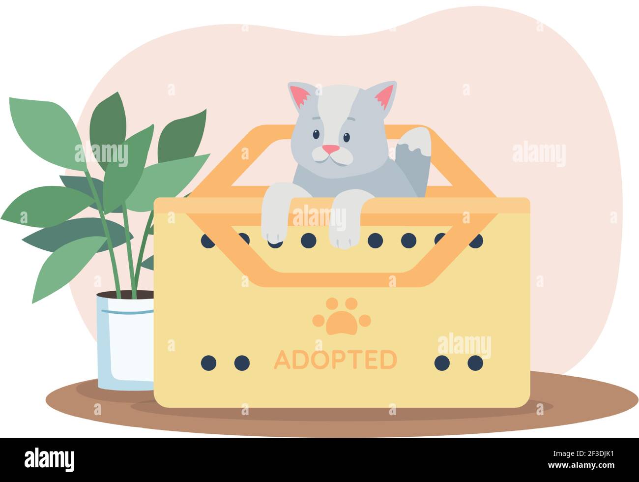 Adopting grey cat 2D vector web banner, poster Stock Vector Image & Art ...