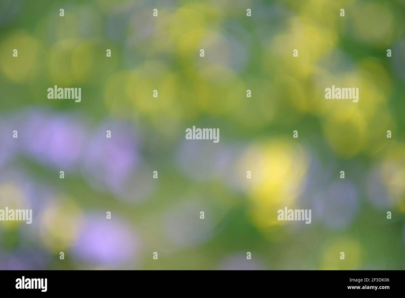 spring flower background colour wash Stock Photo - Alamy
