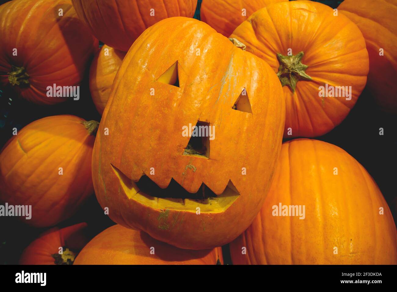Handcraft squash hi-res stock photography and images - Alamy