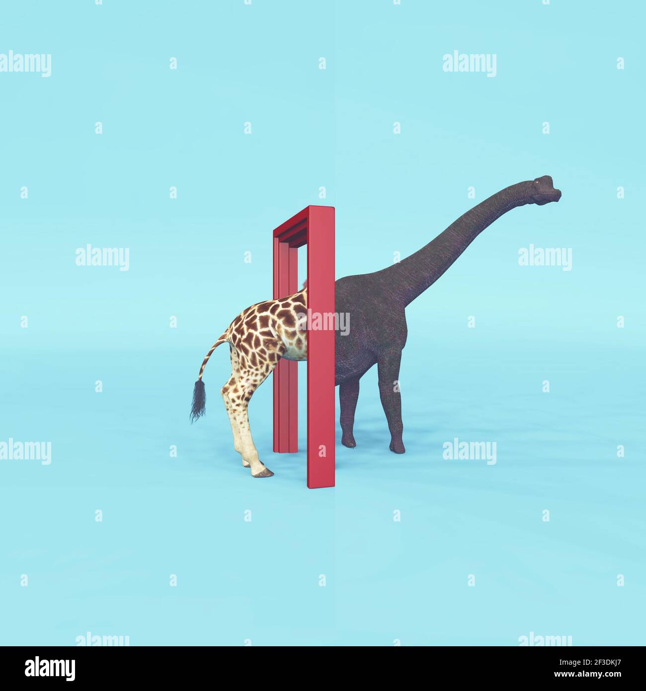 Giraffe doorway hi-res stock photography and images - Alamy