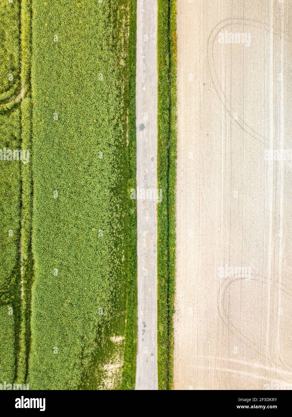 Top down view of narrow light grey old asphalt road leading between ...