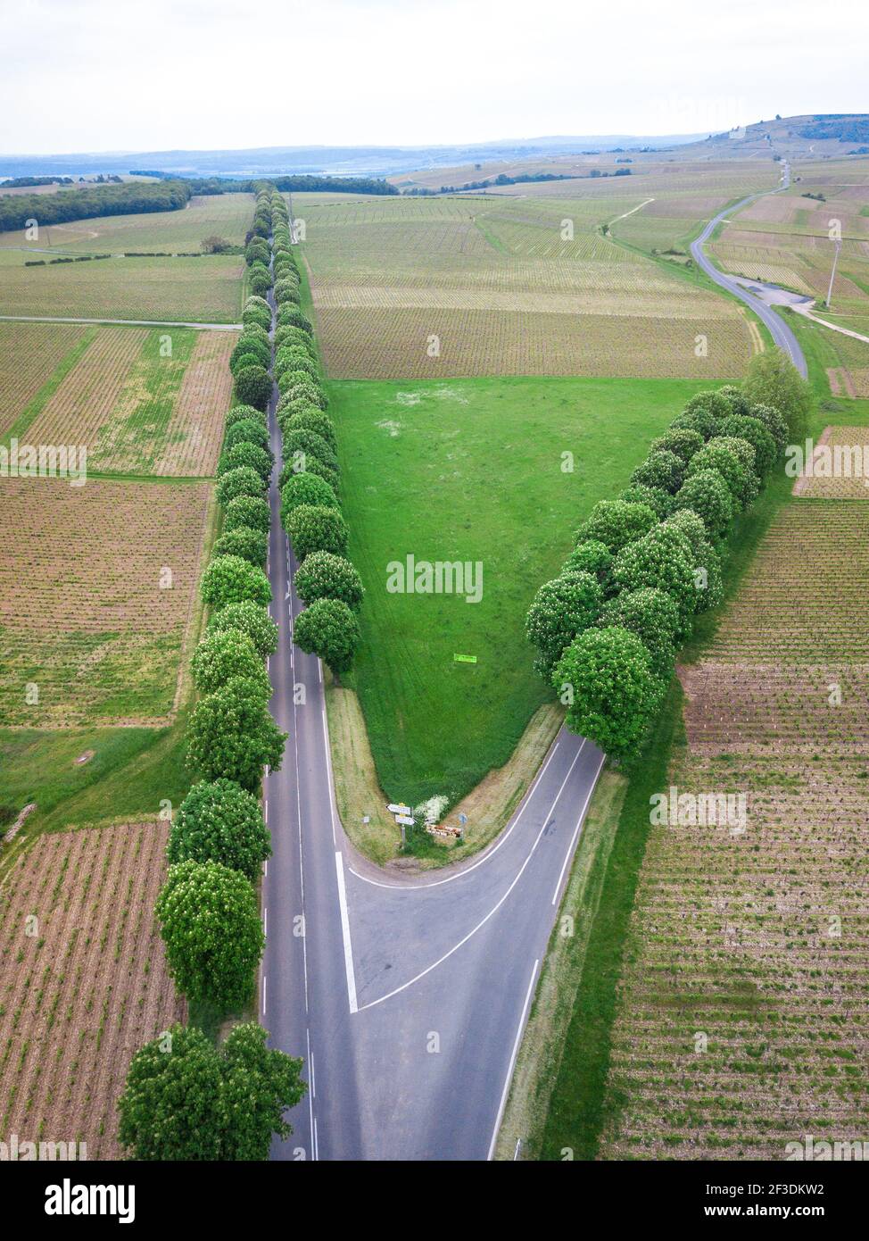 French roads trees hi-res stock photography and images - Alamy