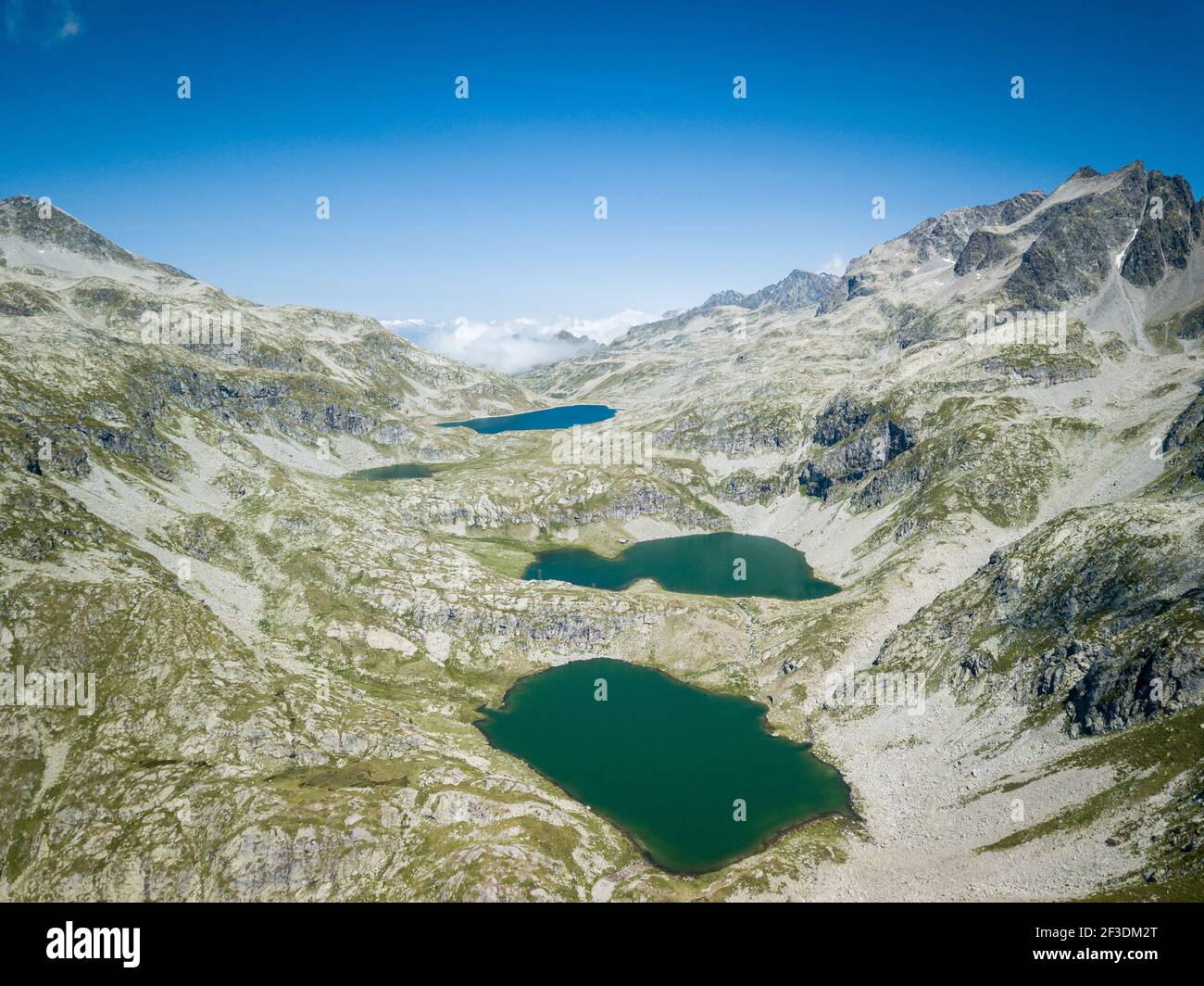 Cenics nature photos hi-res stock photography and images - Alamy