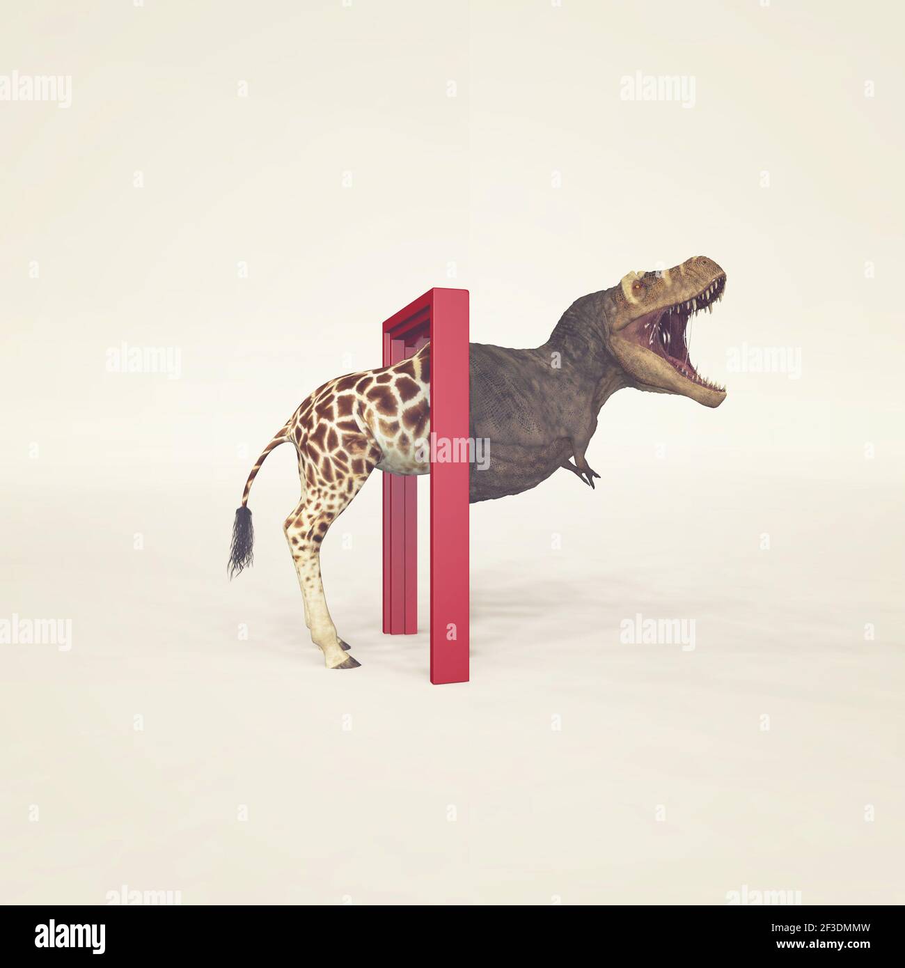 Giraffe doorway hi-res stock photography and images - Alamy