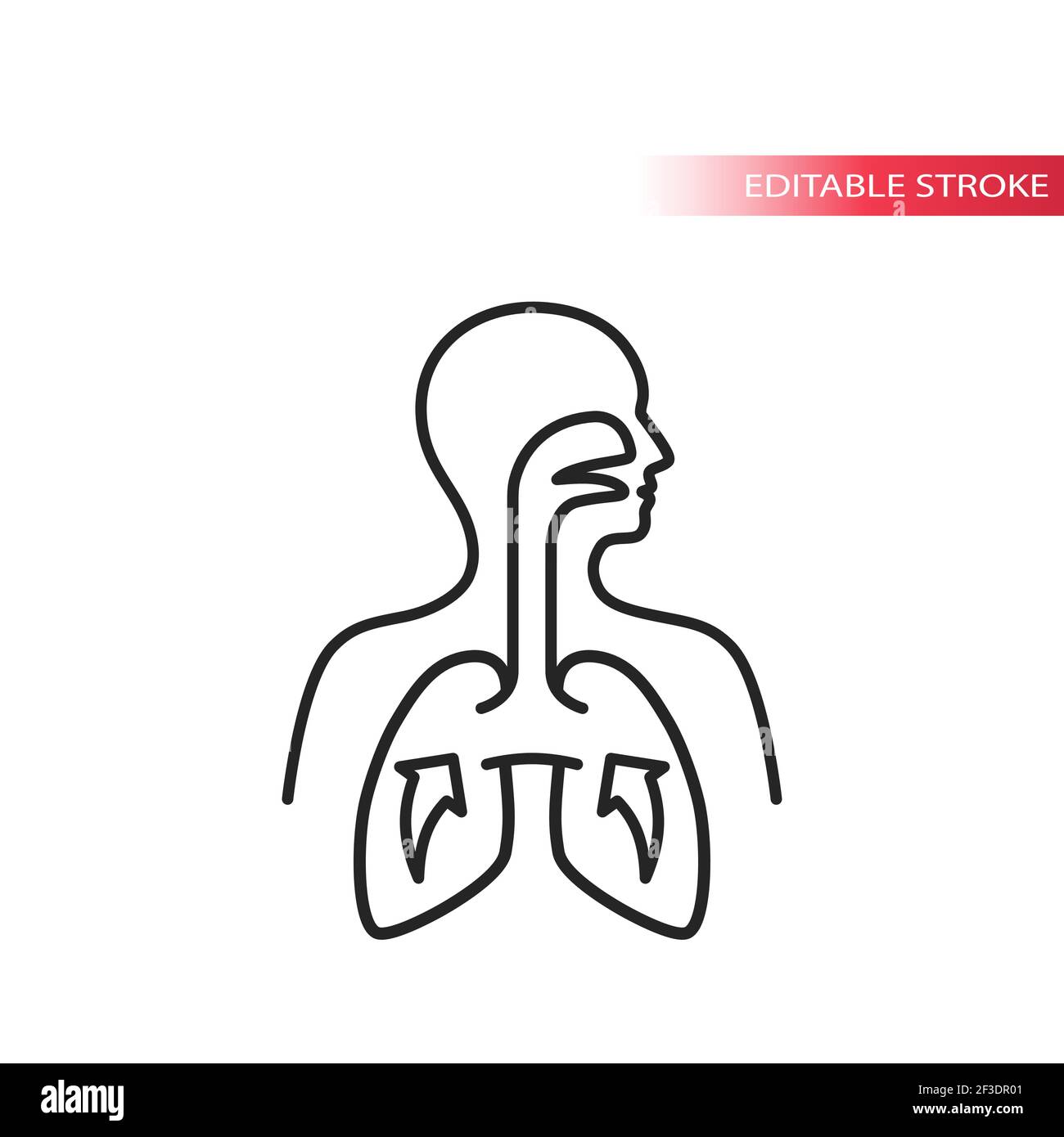 Respiratory system symbol. Human body with lungs, nose and mouth line ...