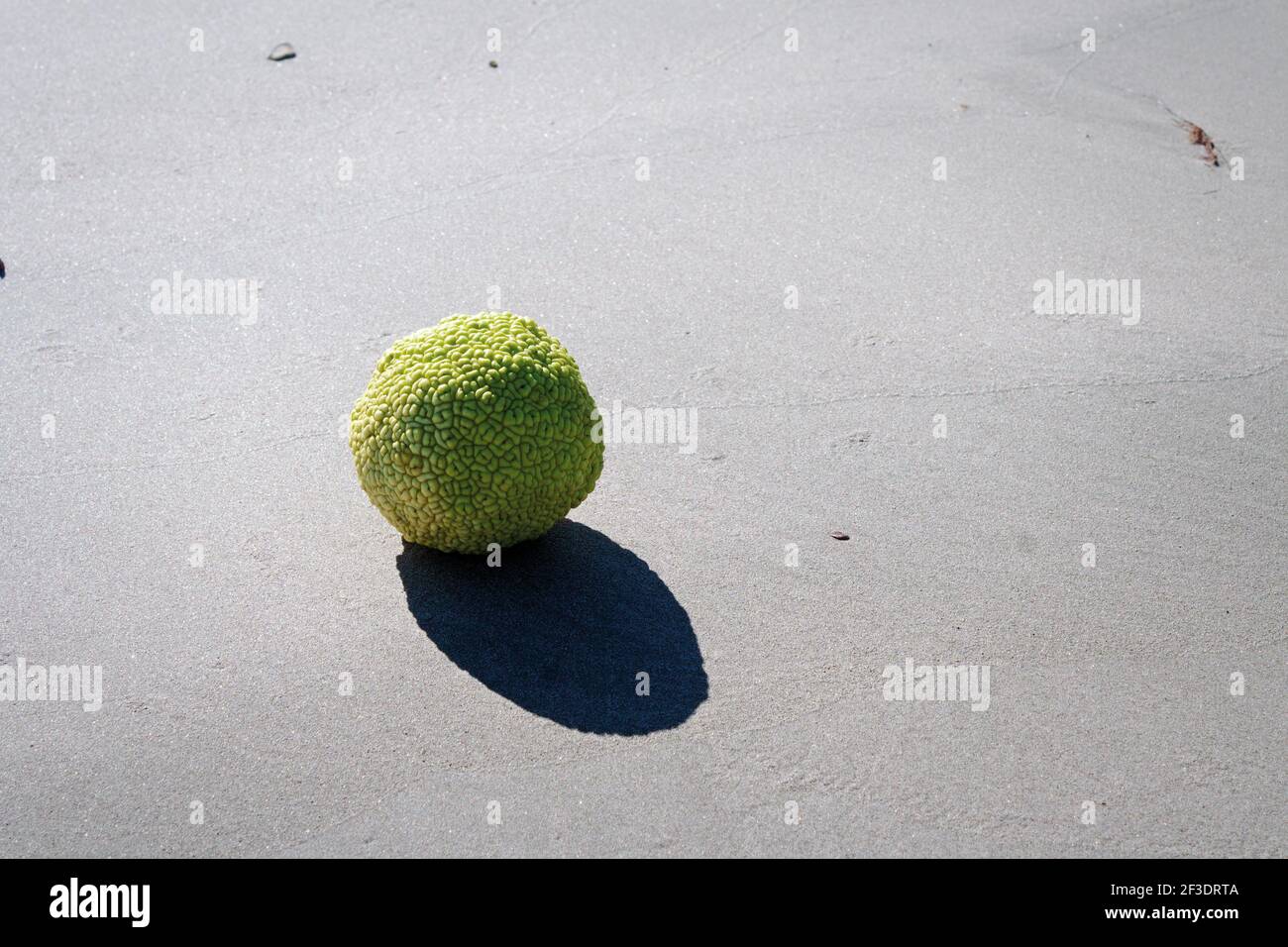 Sandy adams hi-res stock photography and images - Alamy