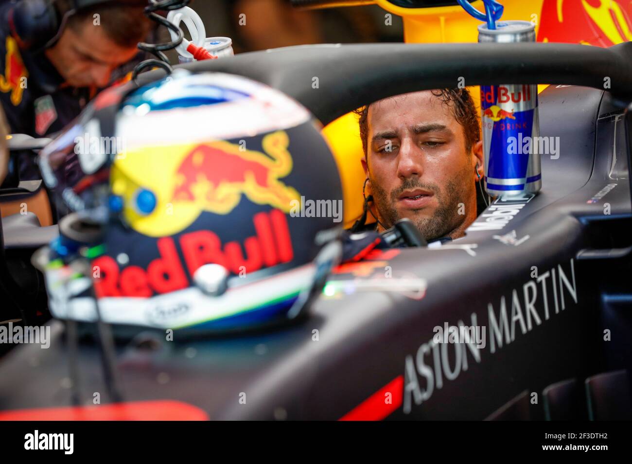 RICCIARDO Daniel (aus), Aston Martin Red Bull Tag Heuer RB14, portrait ...