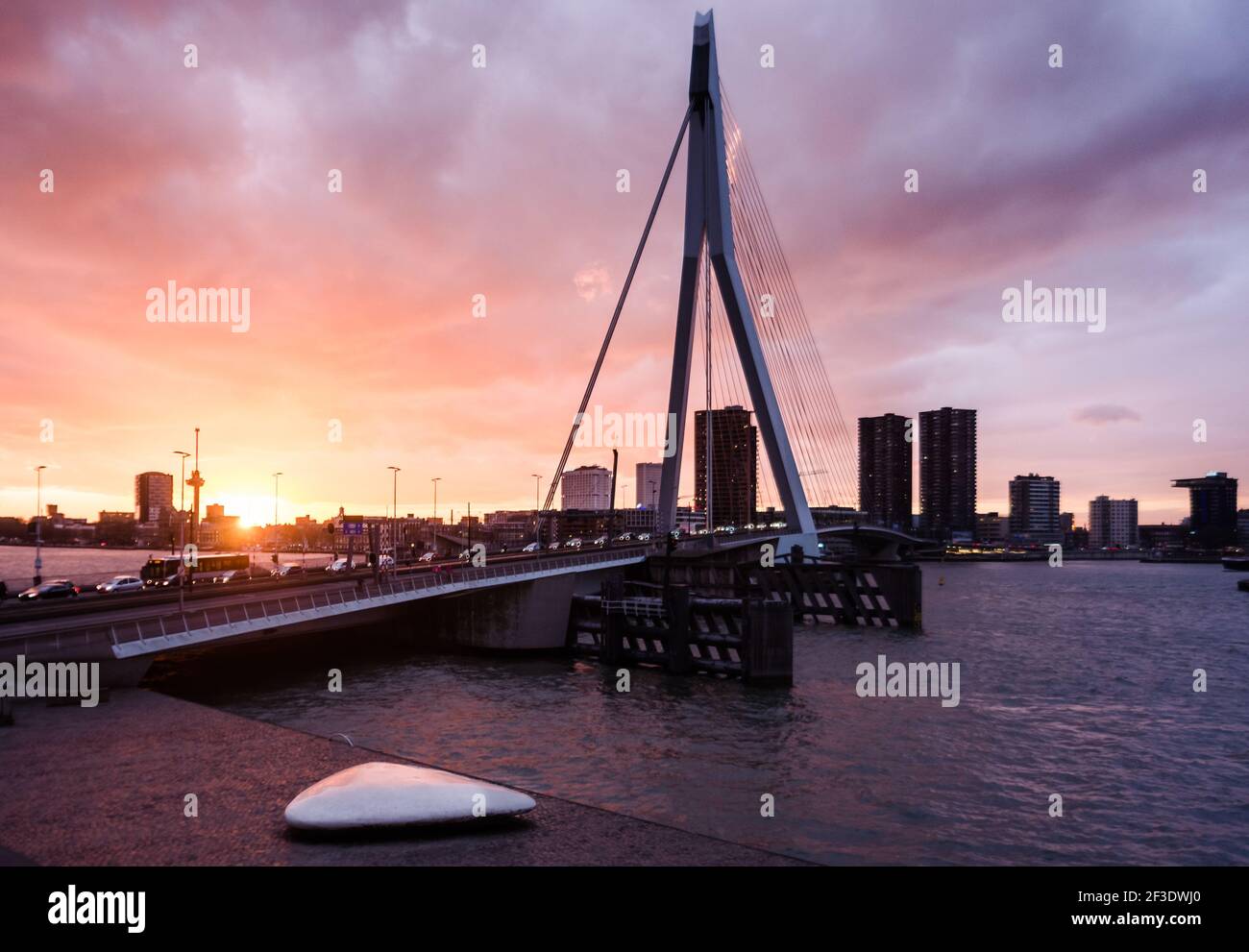 Traffic on modern bridge in twilight time. Erasmus bridge in Rotterdam ...