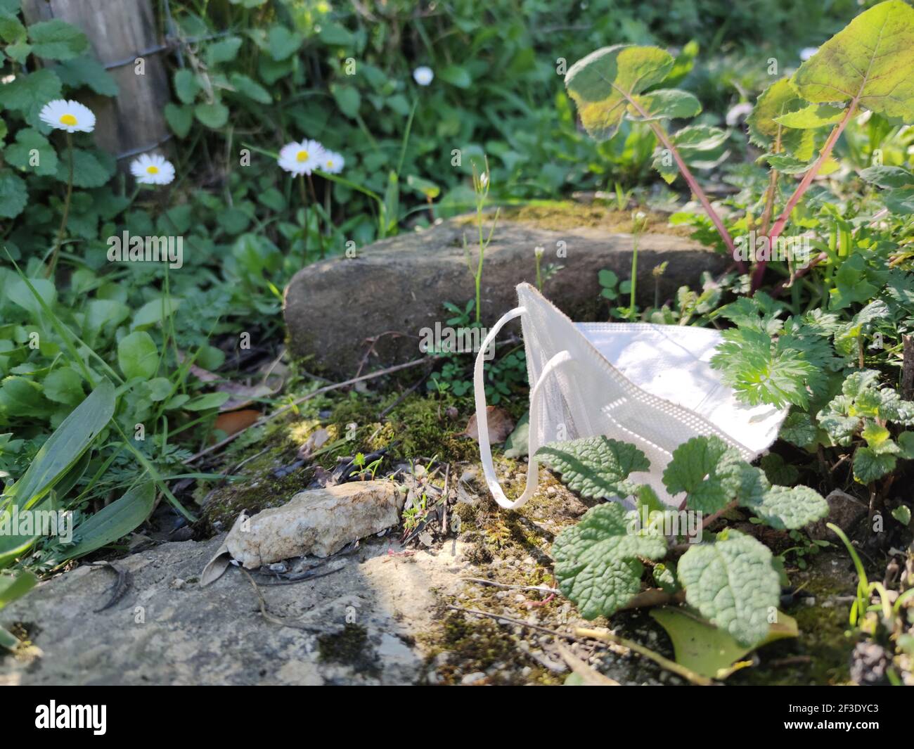 abandoned covid mask on trail path outdoor Stock Photo - Alamy