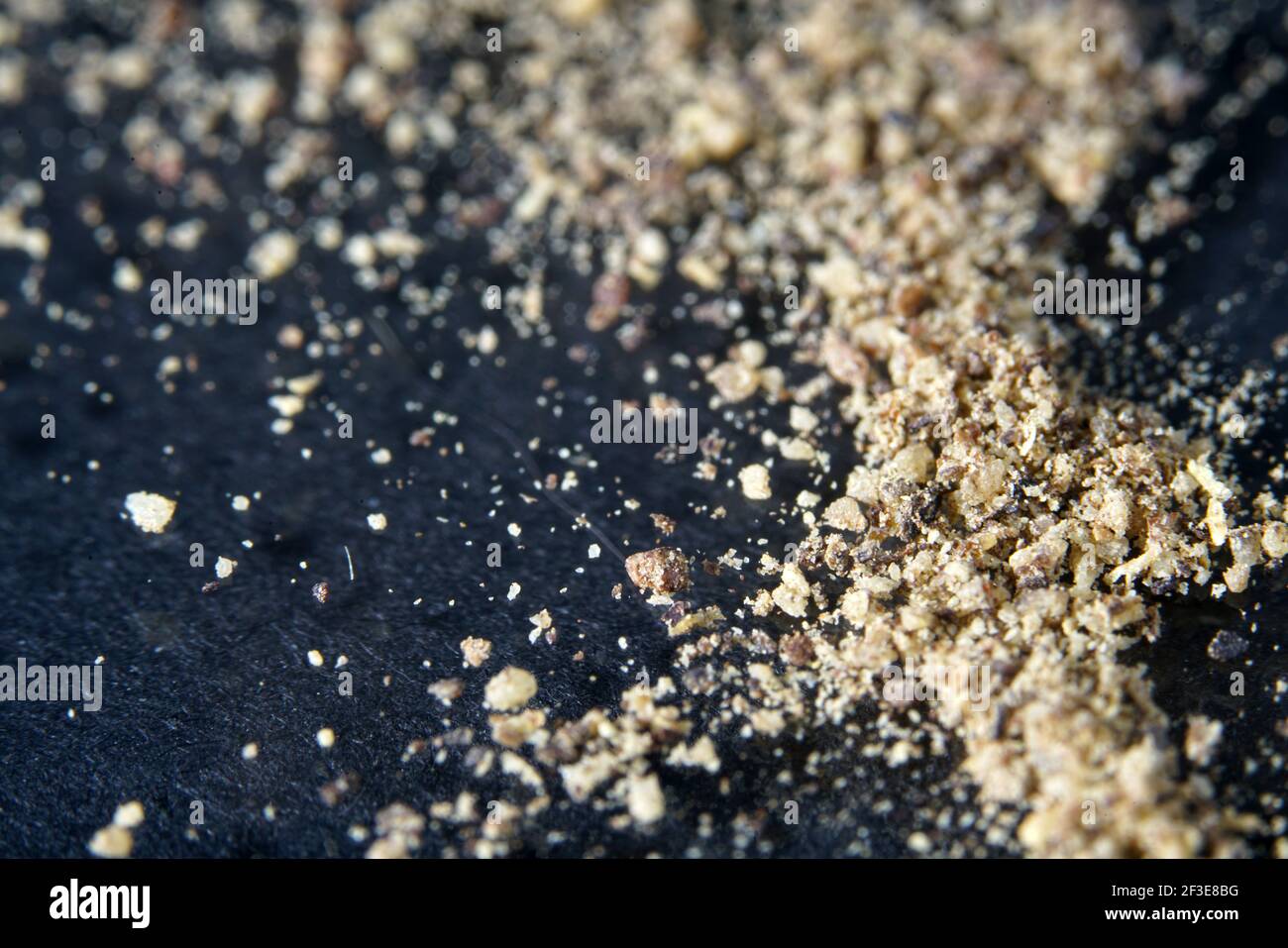 Sand grains particles hi-res stock photography and images - Alamy