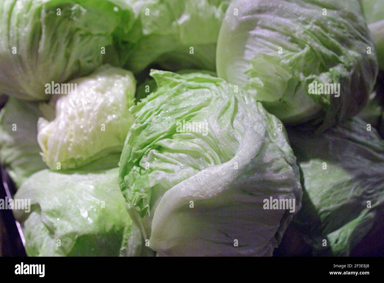 Full frame of fresh, green, organic and healthy lettuce, close up view ...