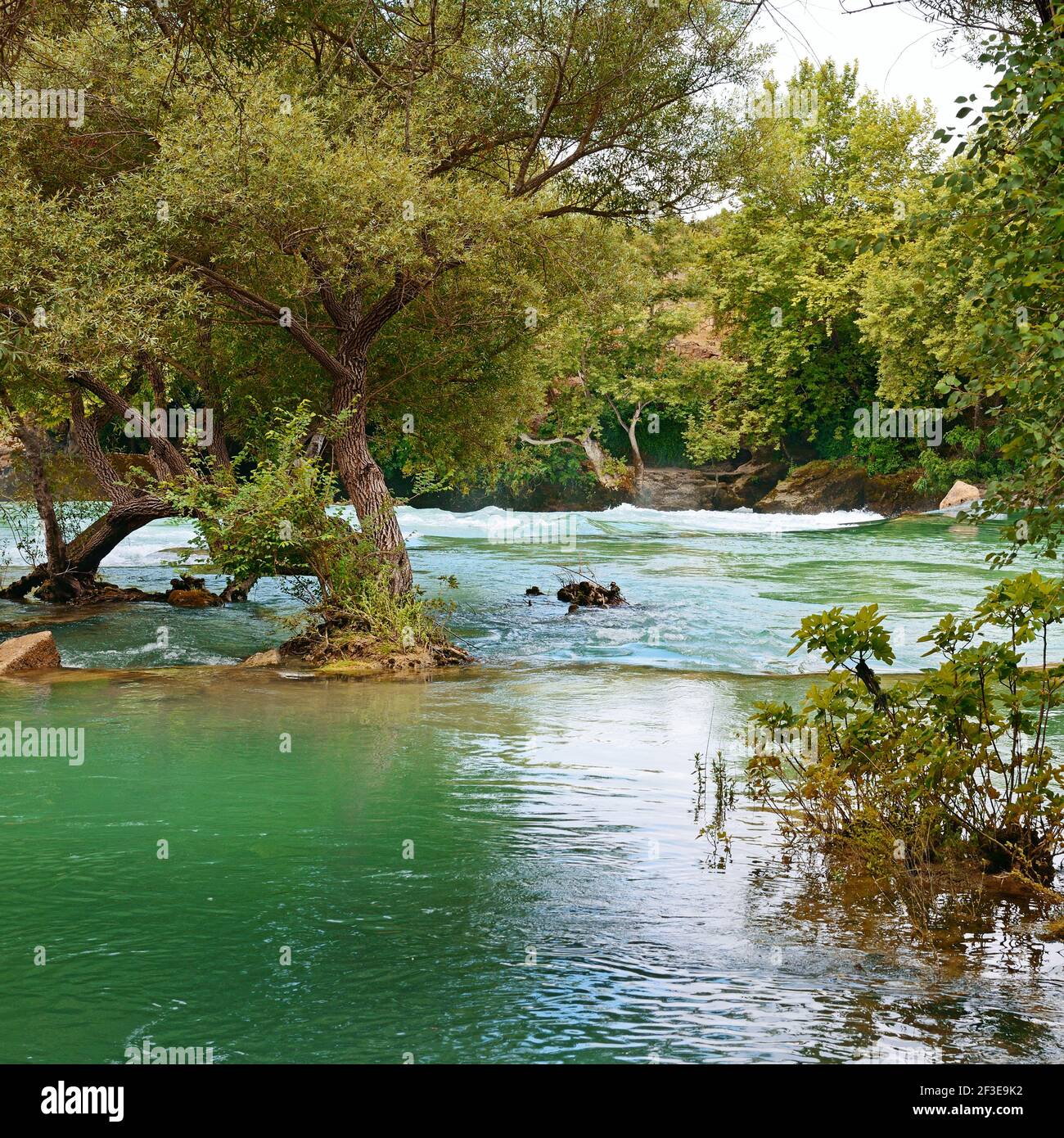 Stream river woodland trees hi-res stock photography and images - Alamy
