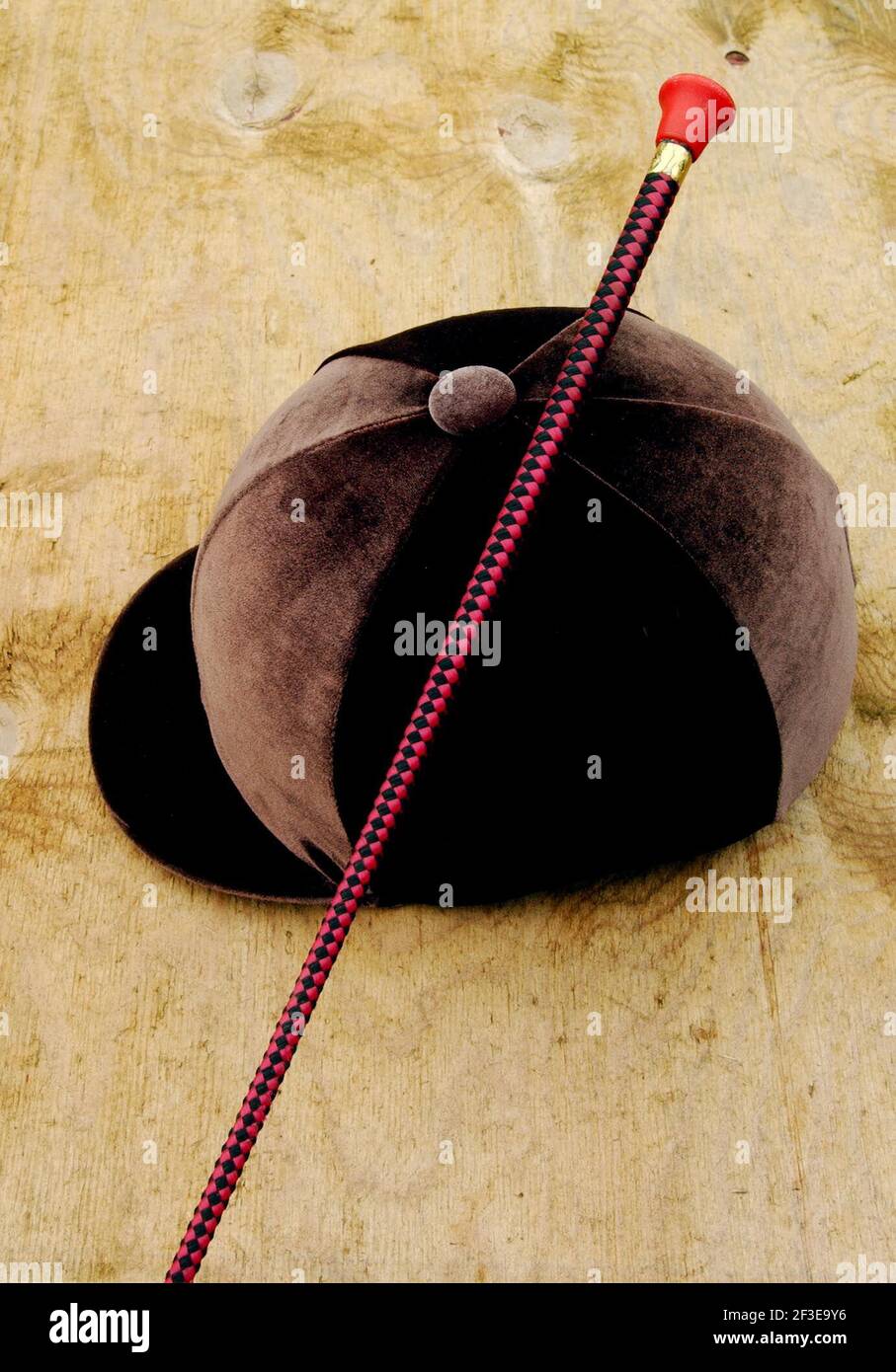 JACKIE WEBB AND HER DAUGHTER KATIE WITH THEIR HORSE RUPERT.12/8/04 ...