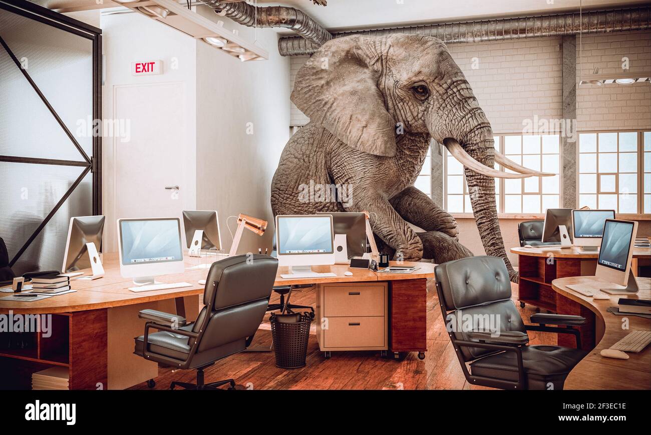 big elephant sitting inside an office. 3d render Stock Photo - Alamy