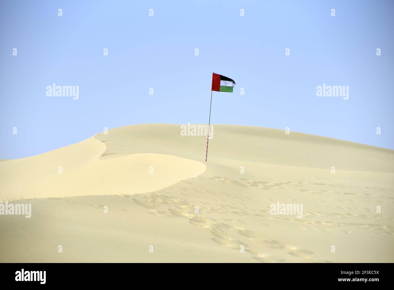 The UAE flag waving in the Al Qudra desert against a blue sky Dubai ...