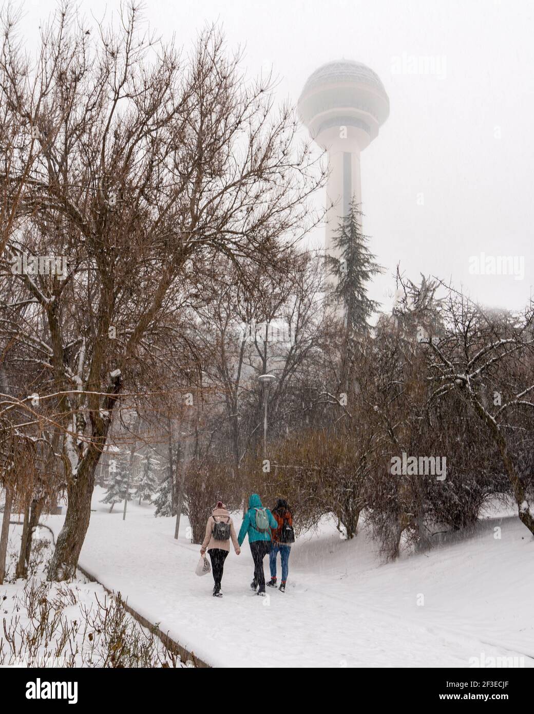 Three women walk to Atakule through botanical garden under snow, Ankara ...