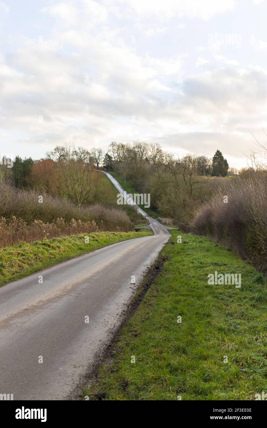 British country road in the countryside with hedges and grass either ...
