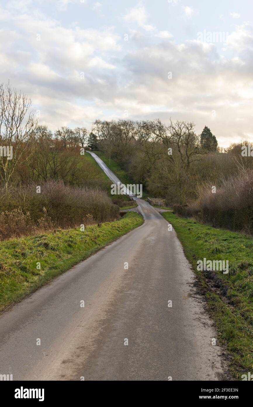 British country road in the countryside with hedges and grass either ...