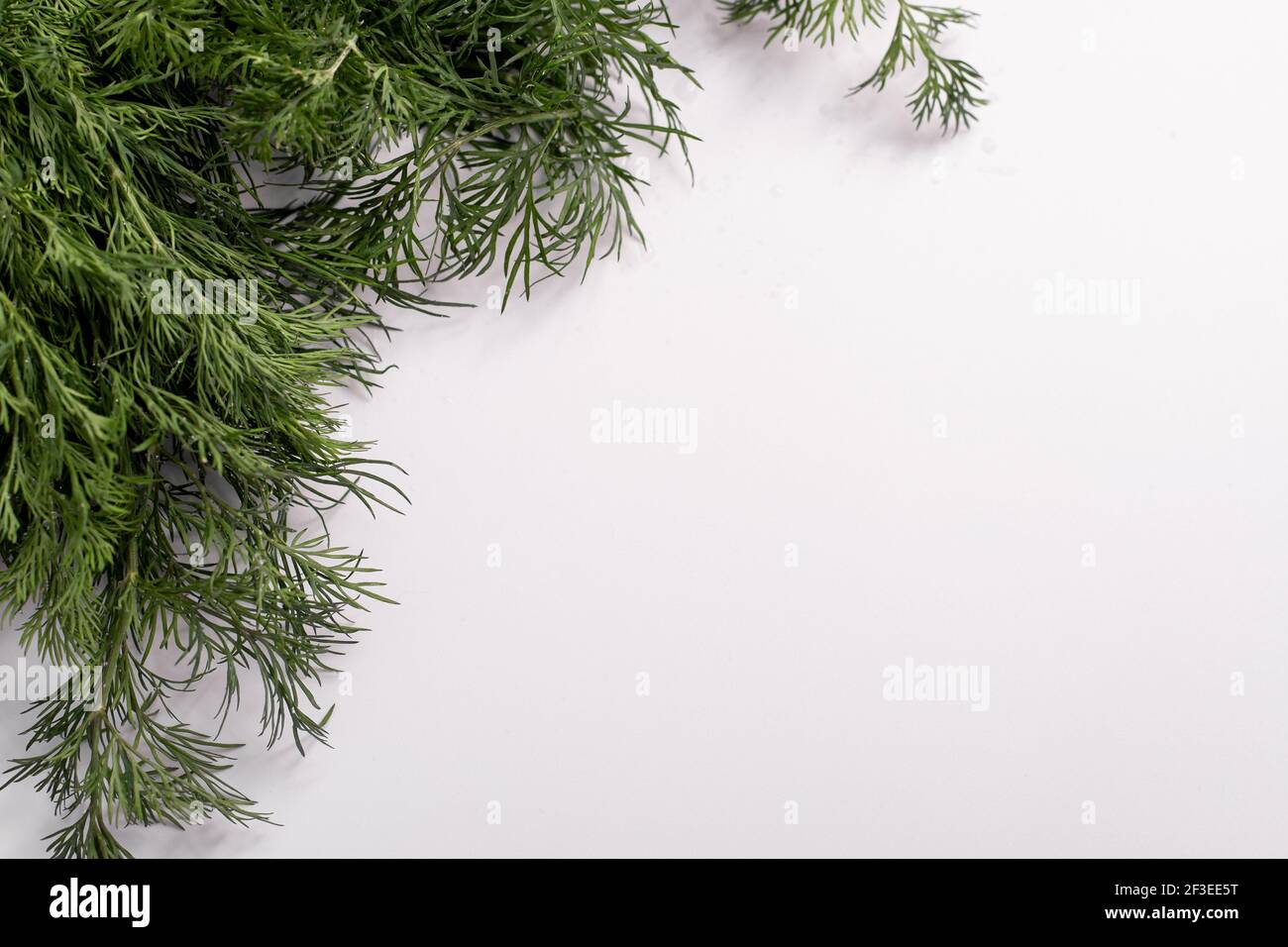 Dill grass hi-res stock photography and images - Alamy