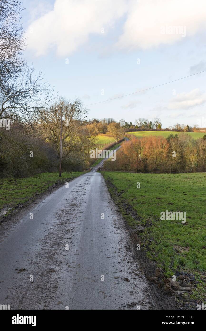 British country road in the countryside with hedges and grass either ...