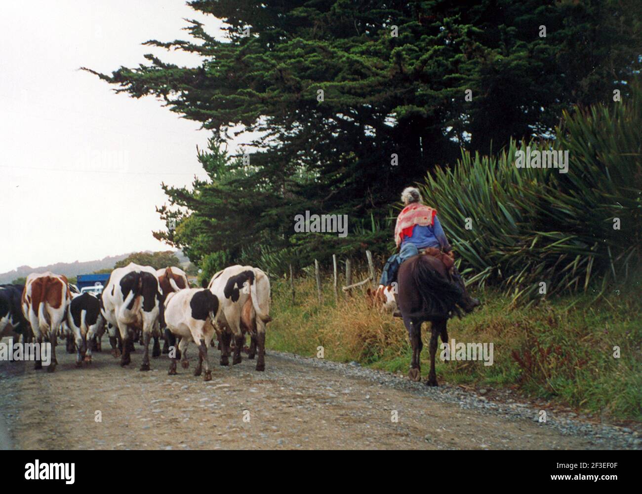 Latina island hi-res stock photography and images - Alamy