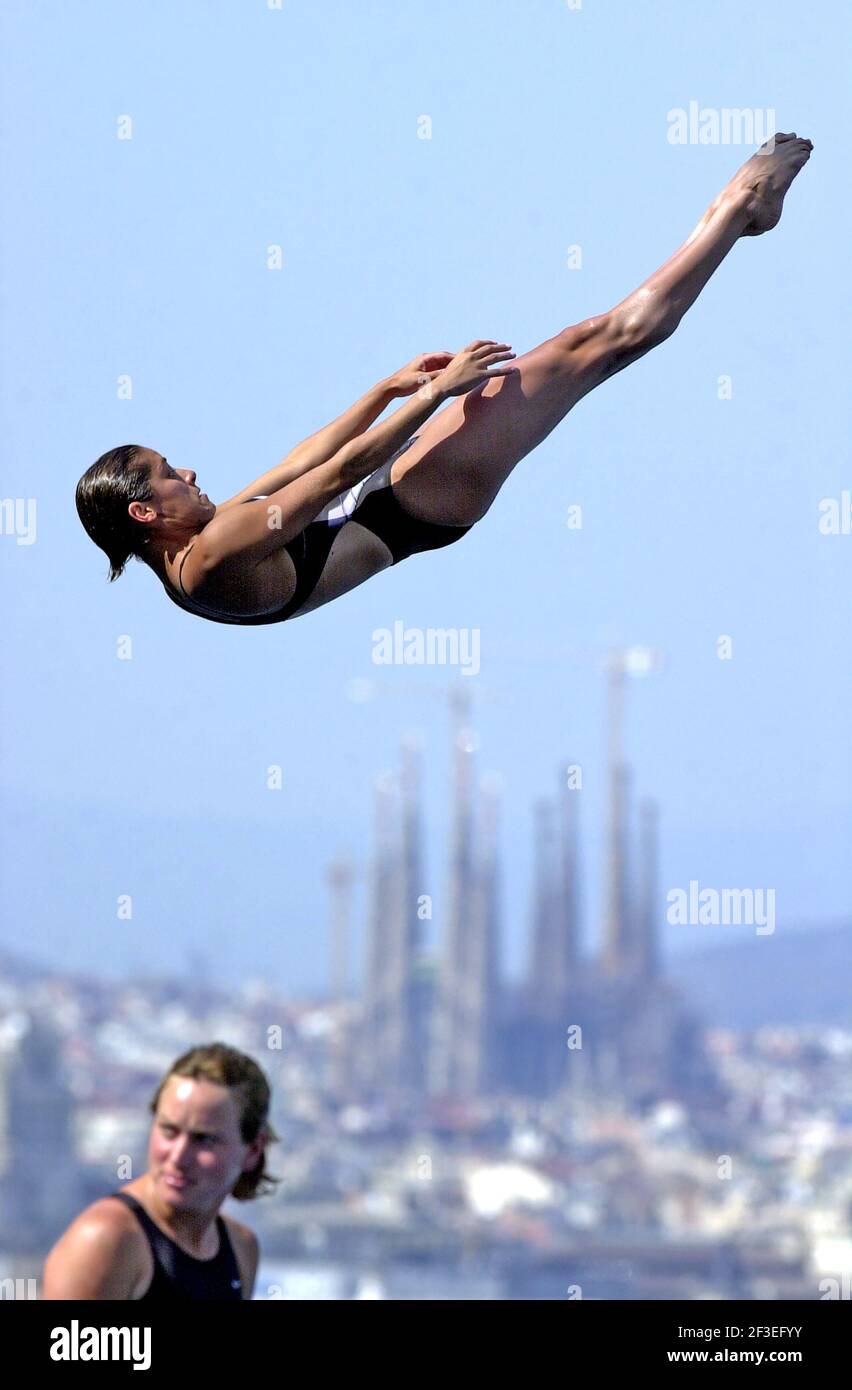 Diving World Championship from the panoramic ten meters diving platform ...