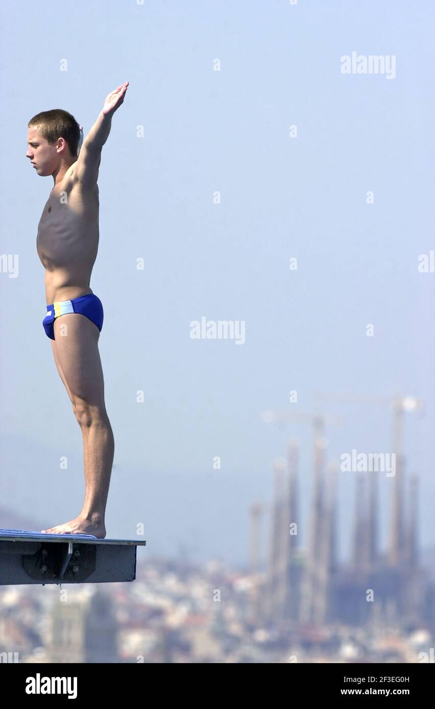 Diving World Championship from the panoramic ten meters diving platform ...