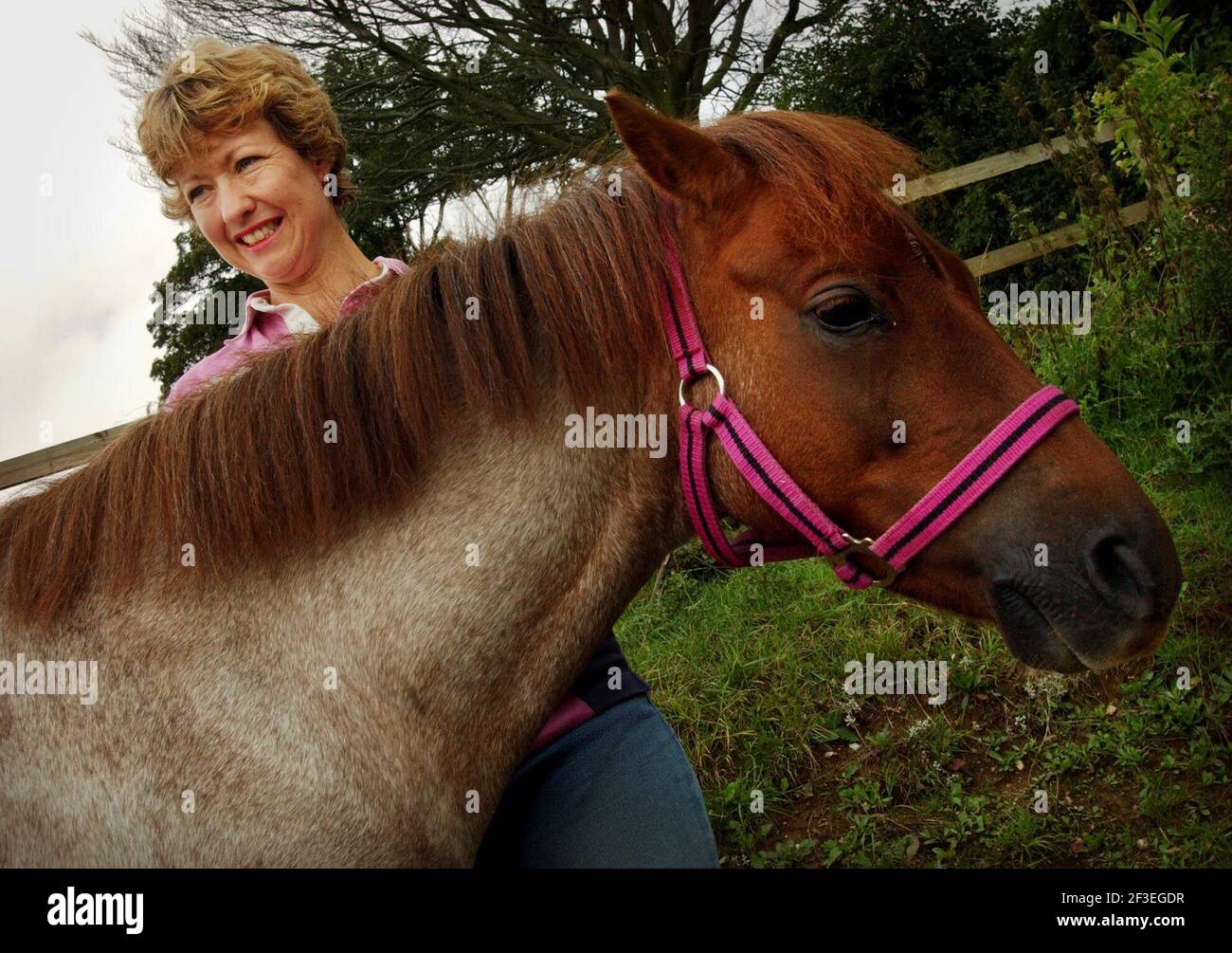 JACKIE WEBB AND HER DAUGHTER KATIE WITH THEIR HORSE RUPERT.12/8/04 ...