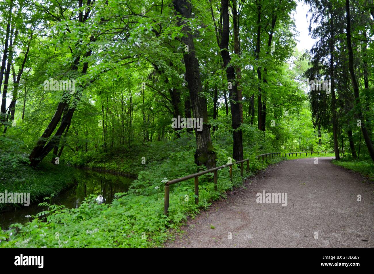 Walking path in the English park. There are a lot of parks in Munich ...