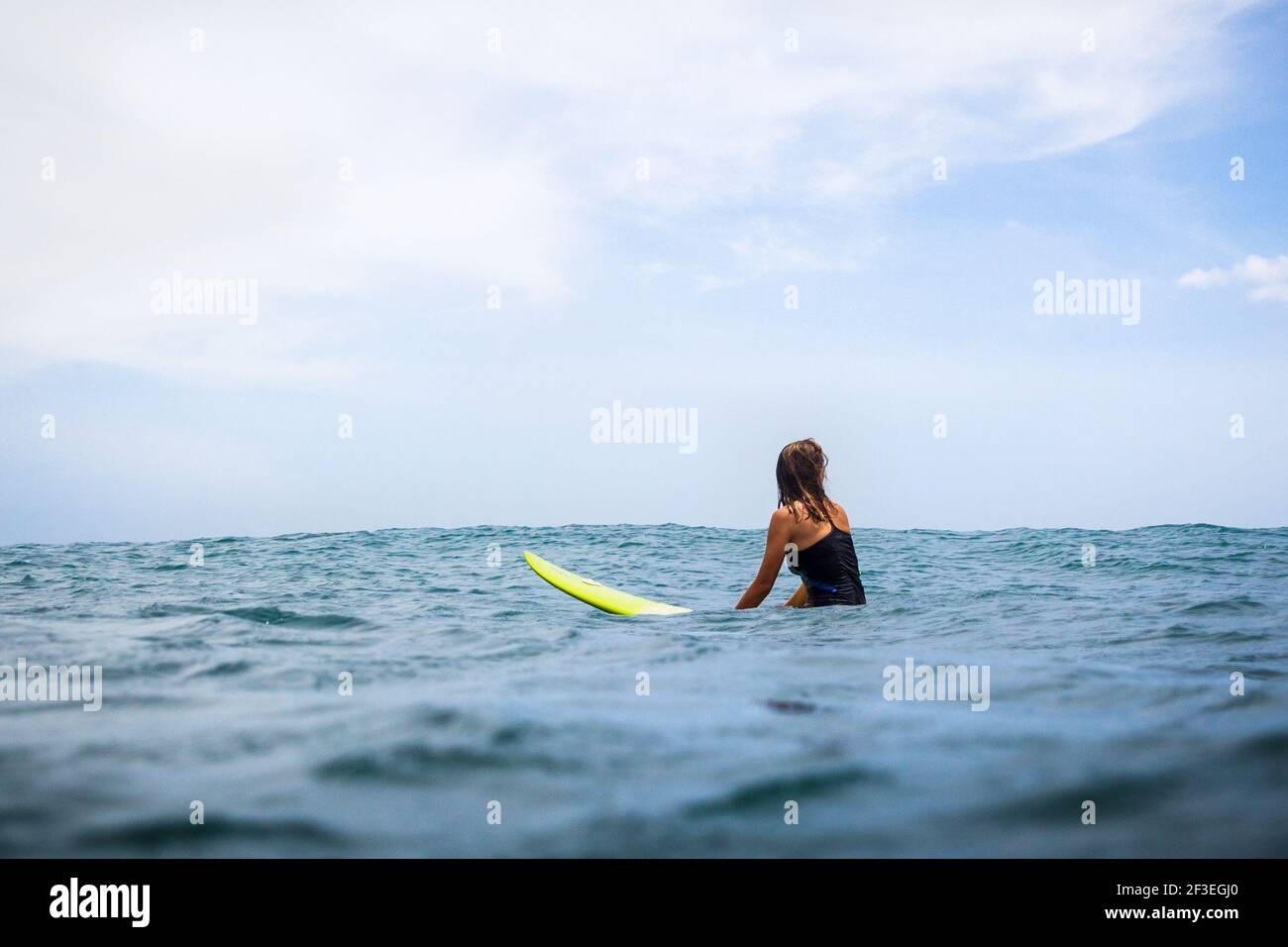 Beautiful Surfer Girl Bikini Surfboard High Resolution Stock ...
