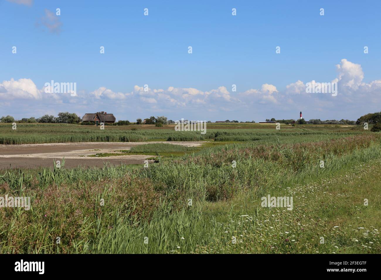 A beautiful view of the Green German North Sea Island in Pellworm ...