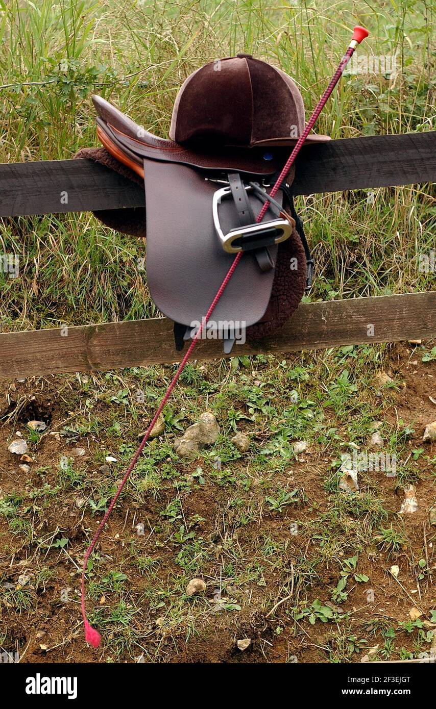 JACKIE WEBB AND HER DAUGHTER KATIE WITH THEIR HORSE RUPERT.12/8/04 ...