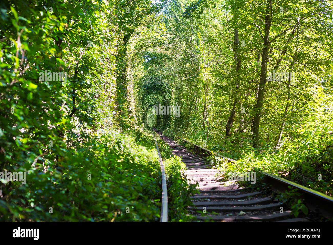 Tunnel of love, klevan, ukraine hi-res stock photography and images - Alamy