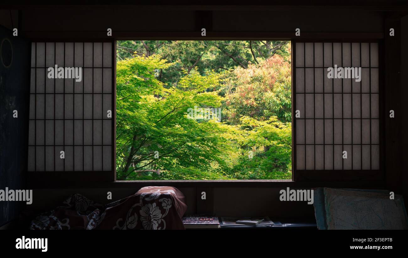 A beautiful view of the jungle from the window Stock Photo - Alamy