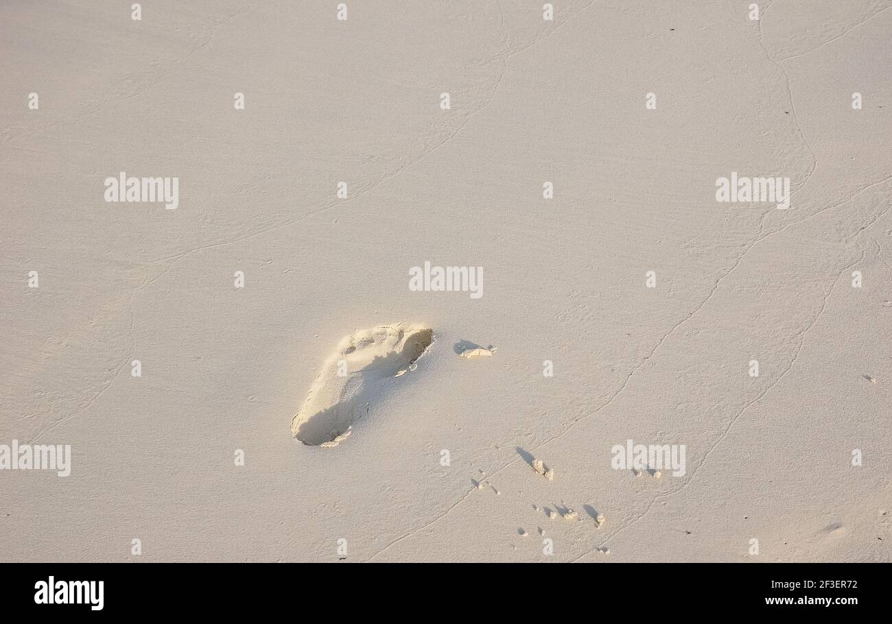 Footprints in sand on the beach. Close up of footprints on the sand ...