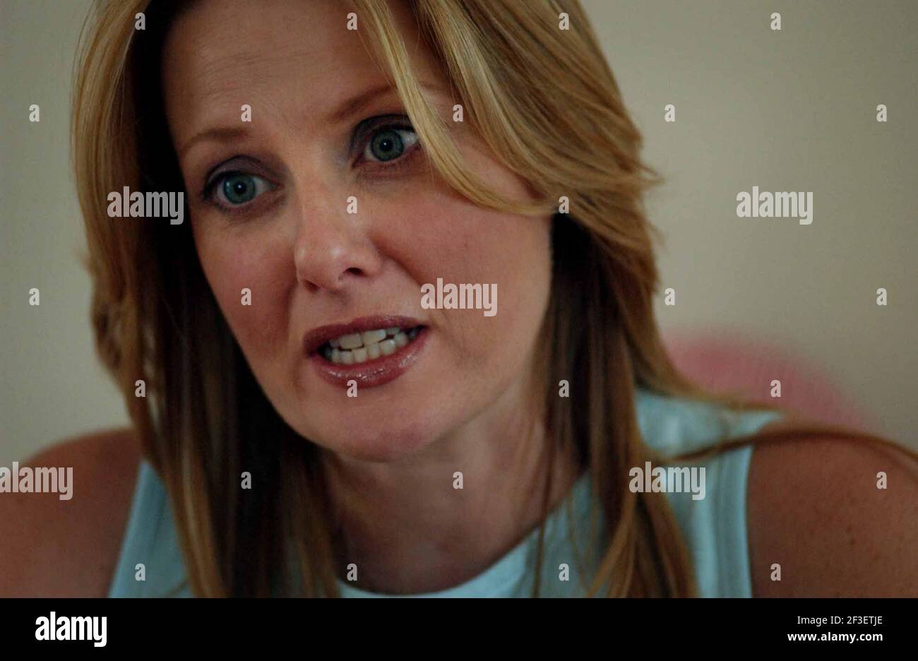 THE AUSTRALIAN WRITER ANNA FUNDER.16/6/04 PILSTON Stock Photo - Alamy