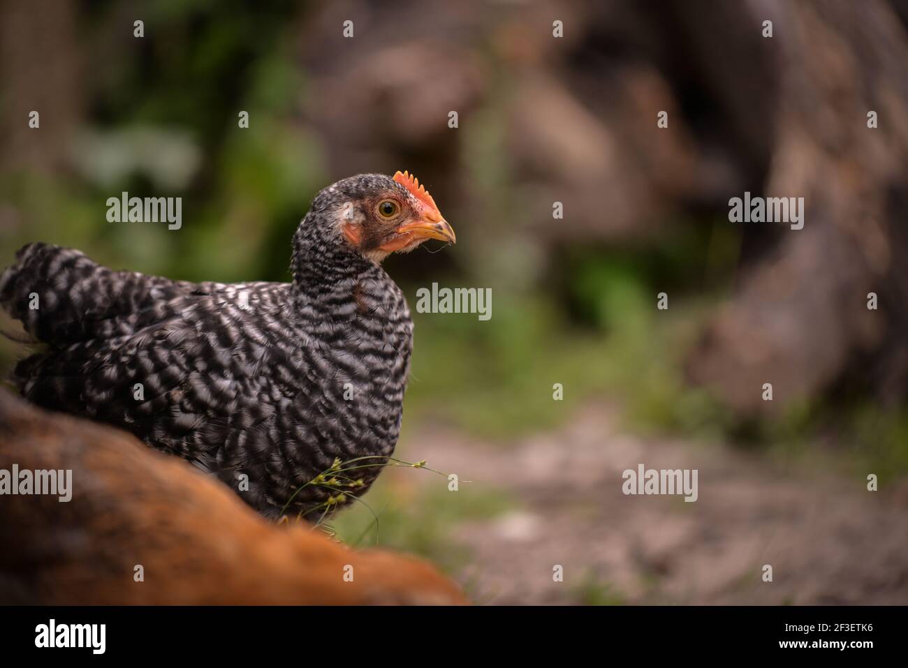 Amrock hi-res stock photography and images - Alamy