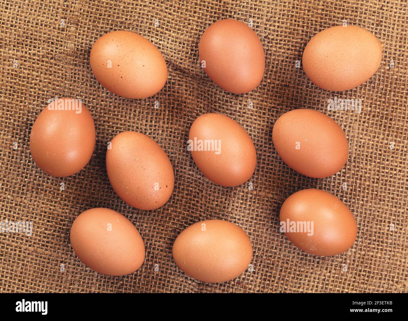 Ten eggs hi-res stock photography and images - Alamy