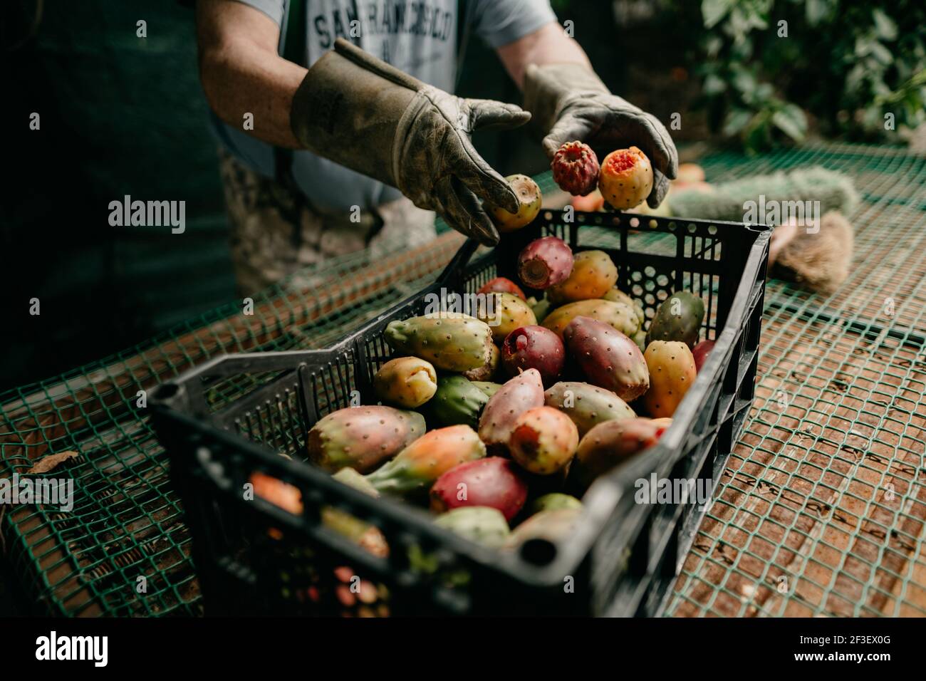 Box of pears hi-res stock photography and images - Alamy