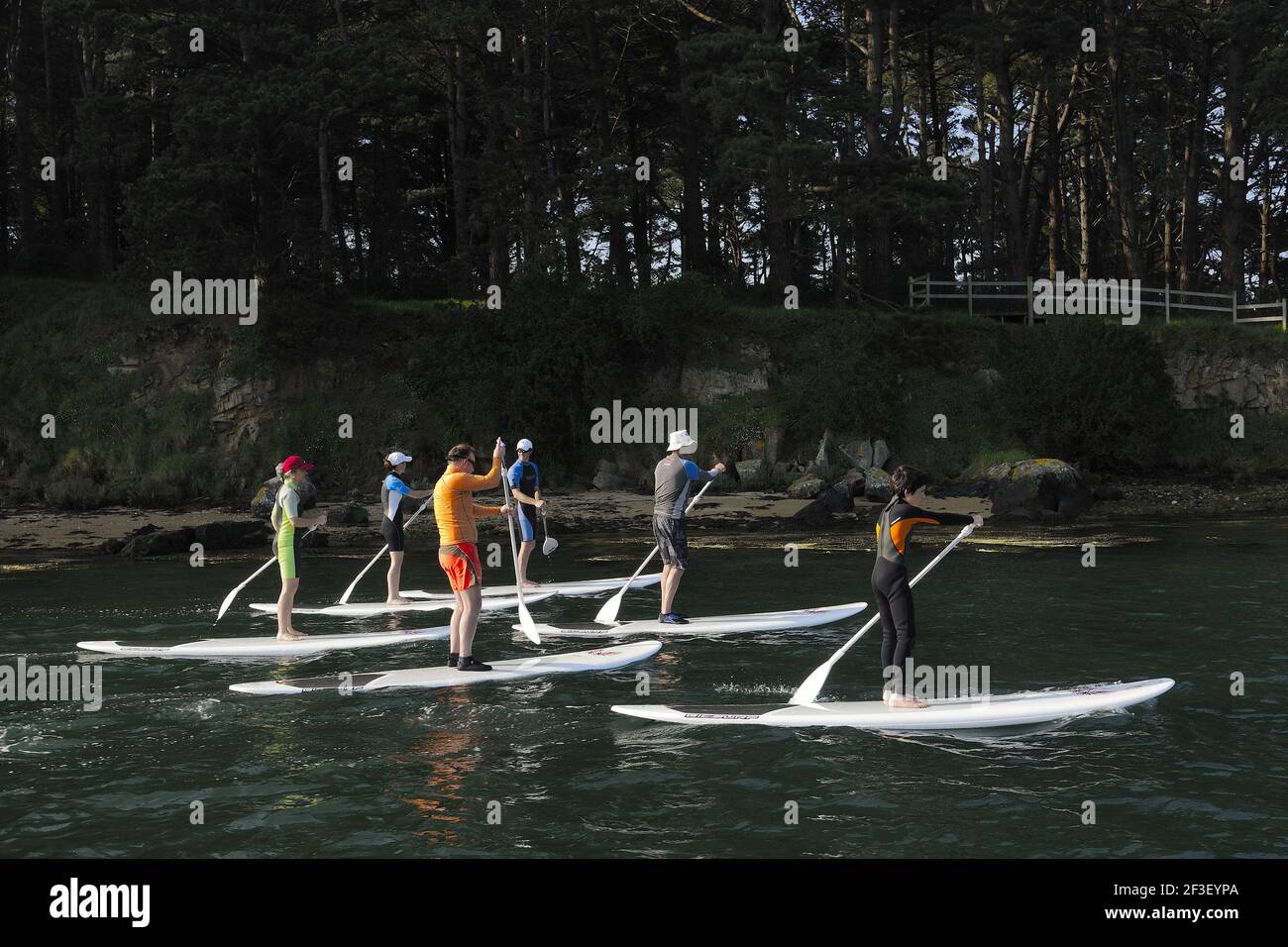 SAILING - STAND UP PADDLE OUTING - GOLFE MORBIHAN (FRA) - 09/04/2011 ...
