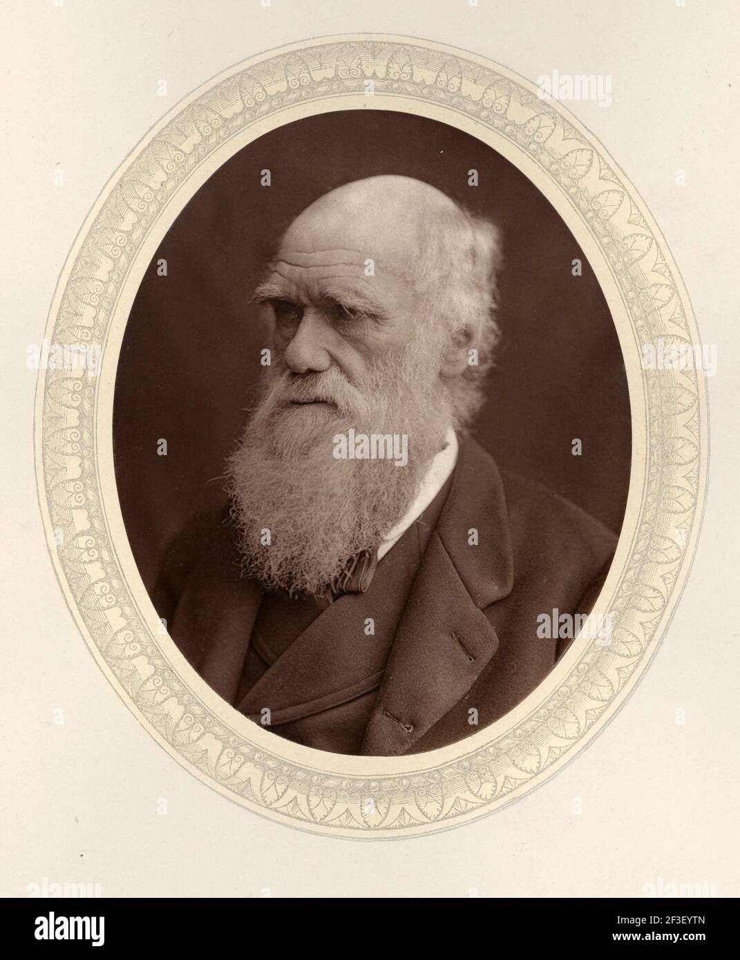 Portrait of Charles Darwin (1809-1882), 1877. Private Collection Stock ...