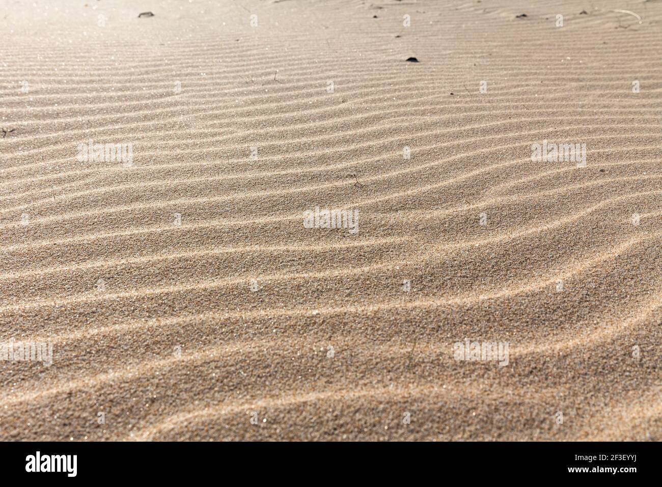 Beautiful golden sand ripple at the beach. sand dune. patterns on ...